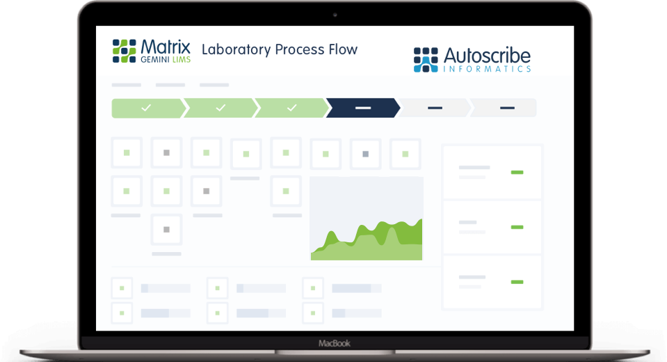 Matrix Gemini | Autoscribe Informatics