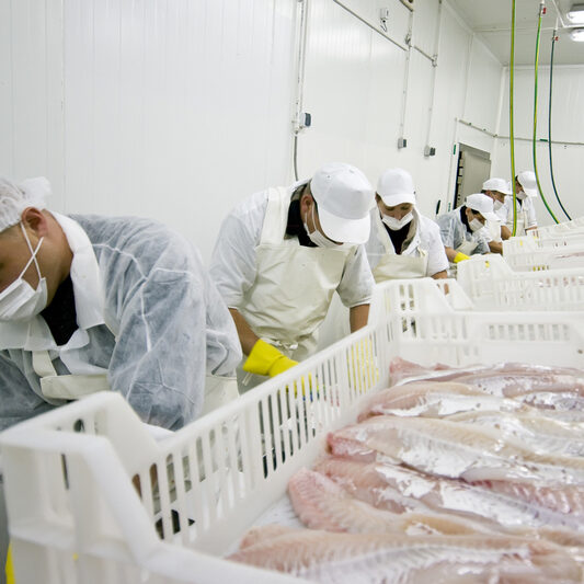 Food LIMS | Beverage LIMS | Lab Software | Autoscribe Informatics ...